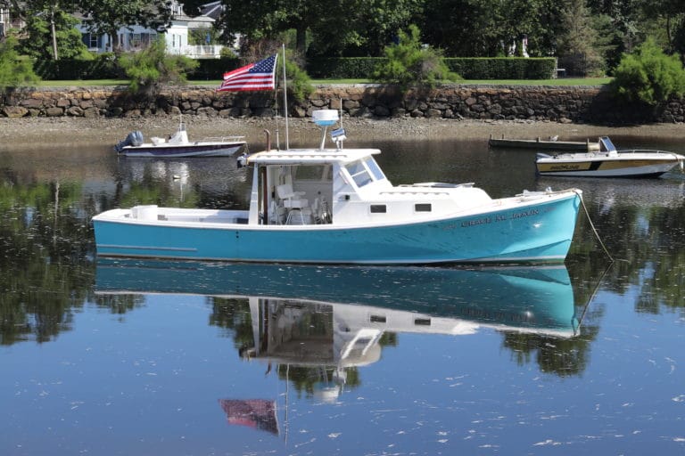 Gluten-Free Crispy Oven Baked Haddock – Erin Brighton