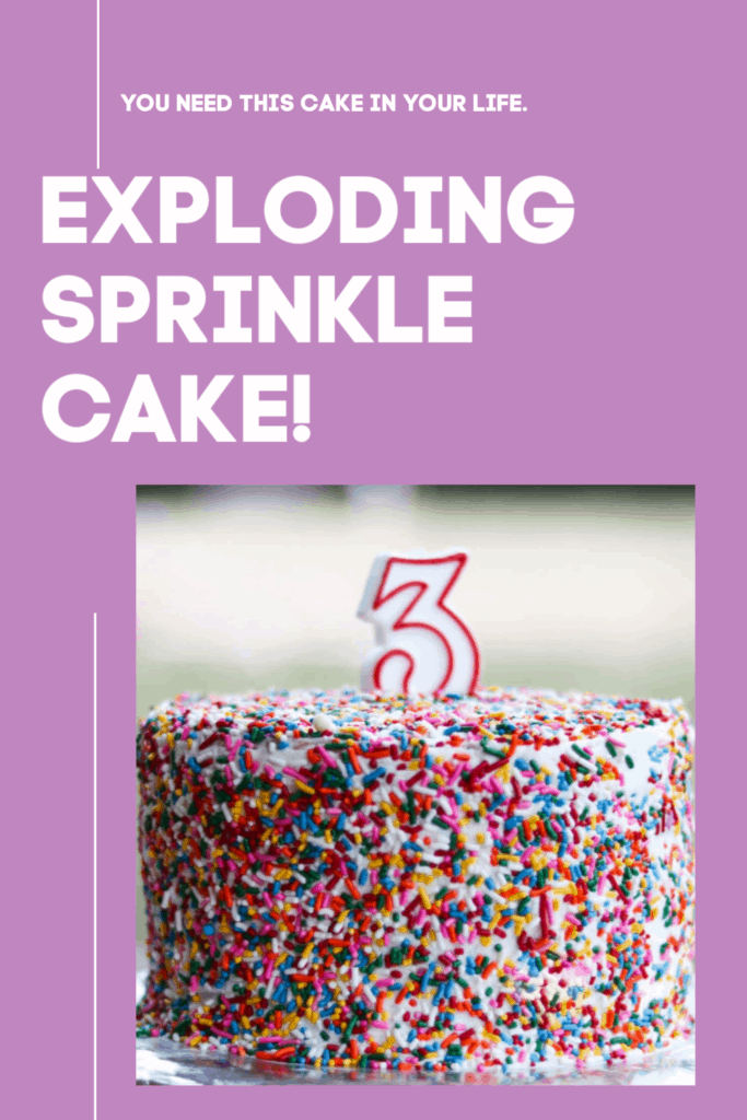 How To Make An Exploding Sprinkle Cake {Video} – Erin Brighton