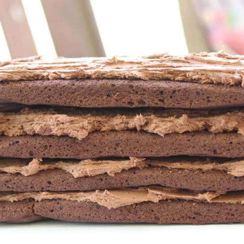 Amazing Mocha Buttercream Frosting – Erin Brighton