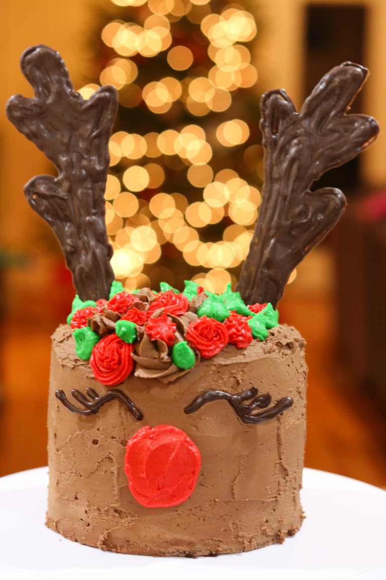 How To Make A Reindeer Cake {Video} – Erin Brighton